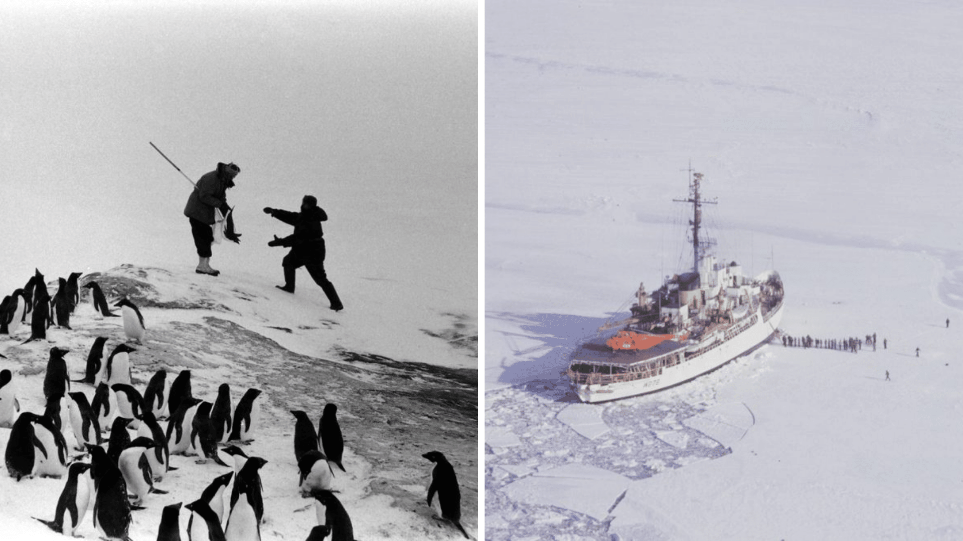 Antarctica in 1964 through rare human eyes