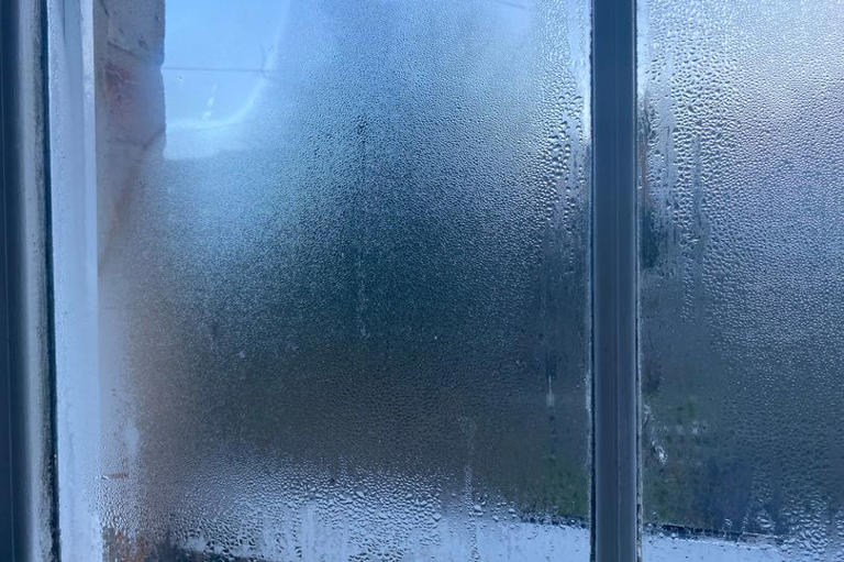 My windows no longer have condensation thanks to £40 item — not a ...
