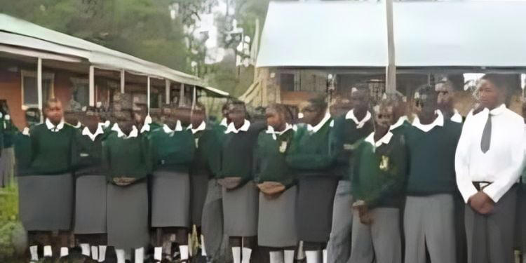 Kitonyini Senior School history, fees, performance, location and contacts