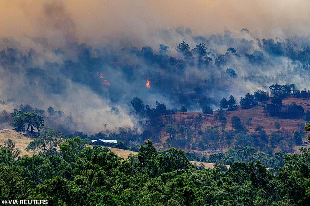 Australian horse racing family issues 'devastating' stables update ...