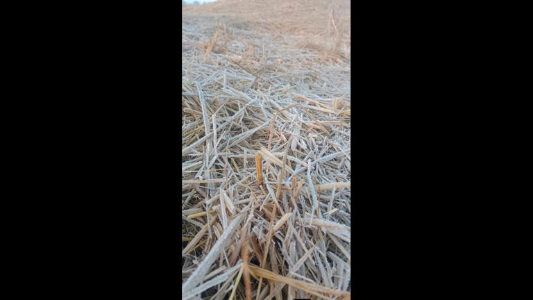 Snowfall in West Bengal: Unpredictable January-Kolkata’s Day ...