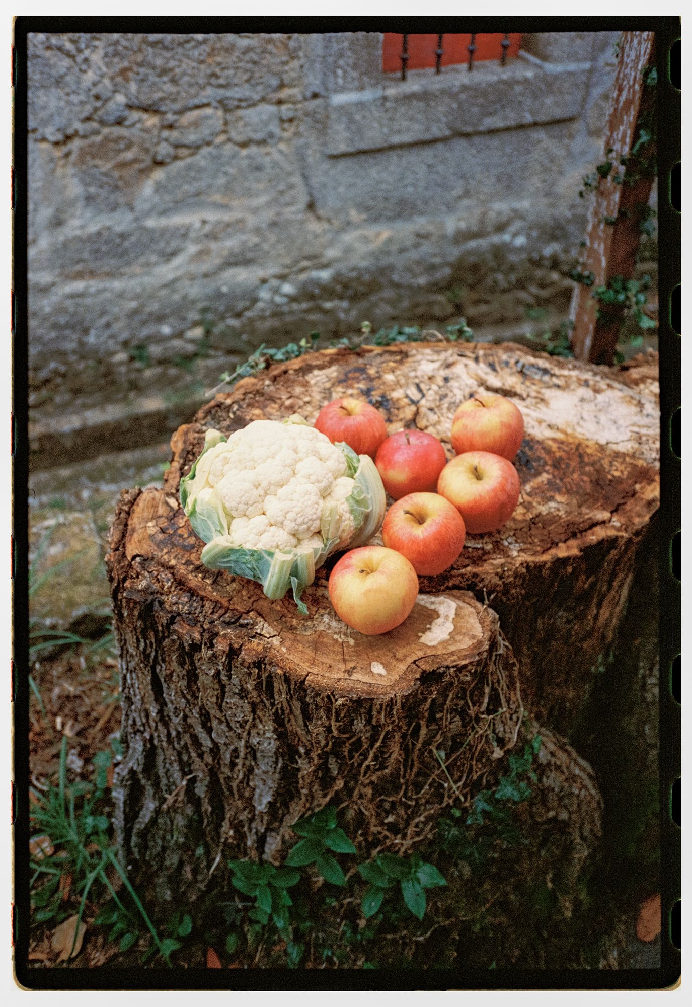 El invierno de Angelo Ramos