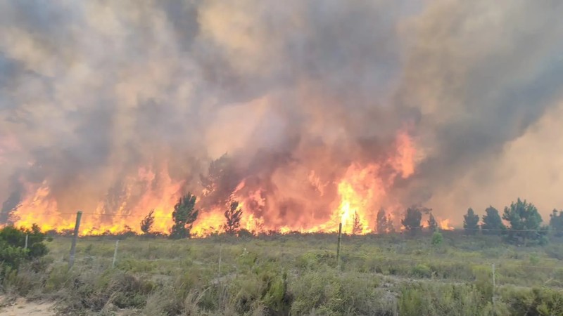 Cable thieves and arsonists blamed for devastating Kouga fires