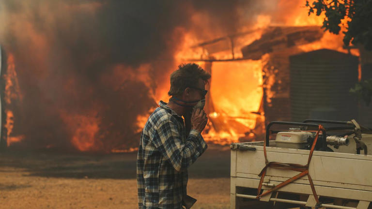 Human remains found in Victoria bushfires