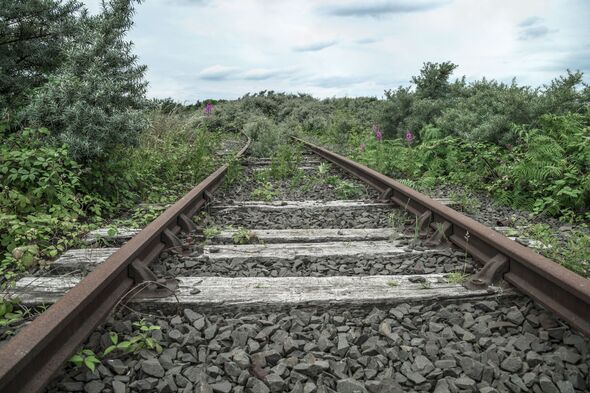 The 9 biggest countries in the world that don't have a single train ...