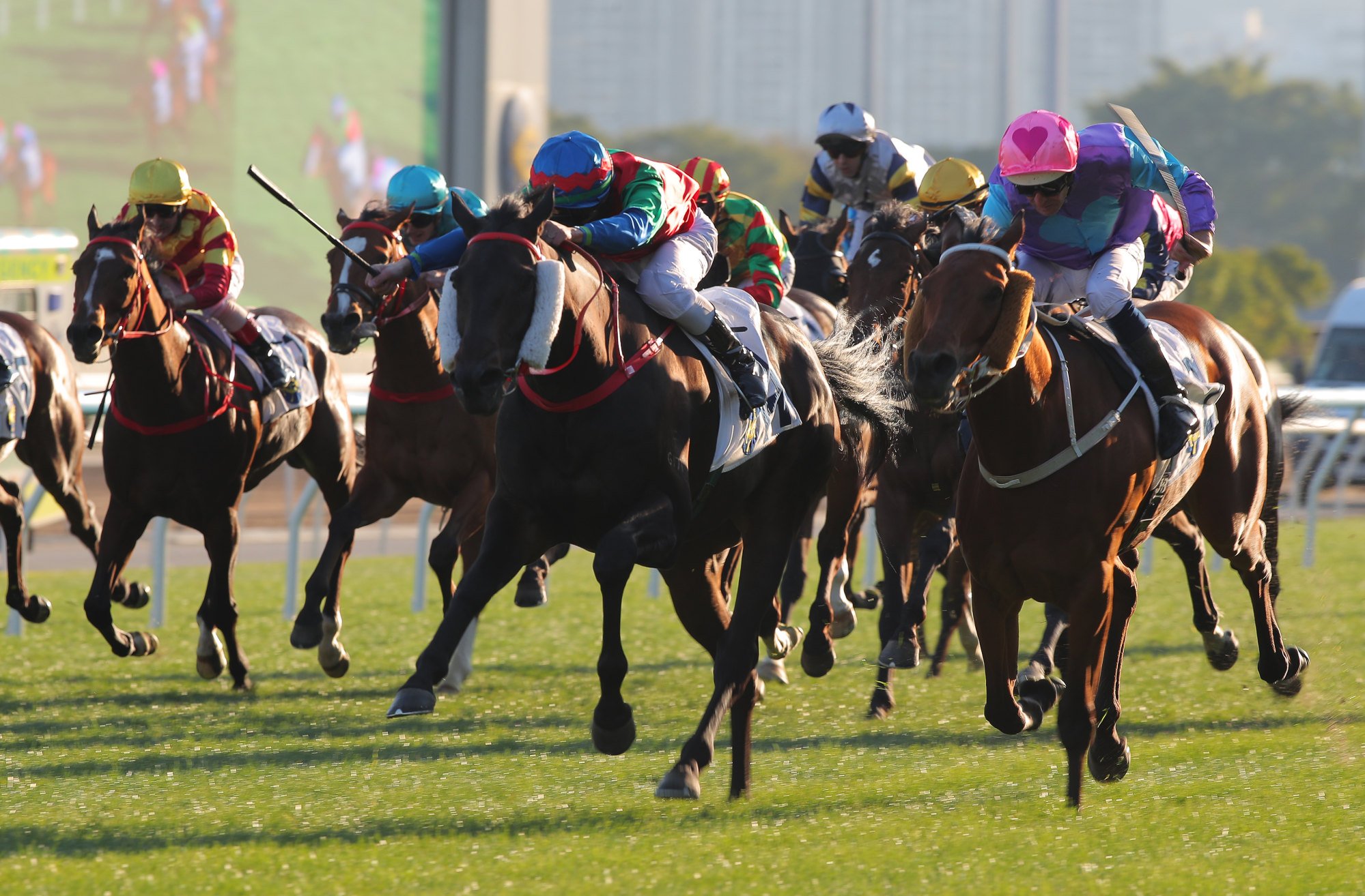 David Hayes ends nightmare week on a high as Money Catcher rolls back the years at Sha Tin