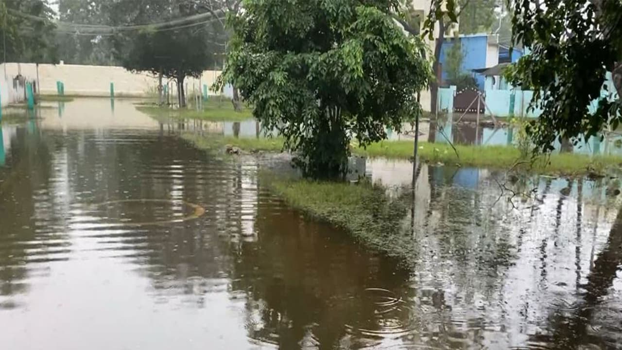 Northeast monsoon brings rain to TN; heavy showers expected ahead