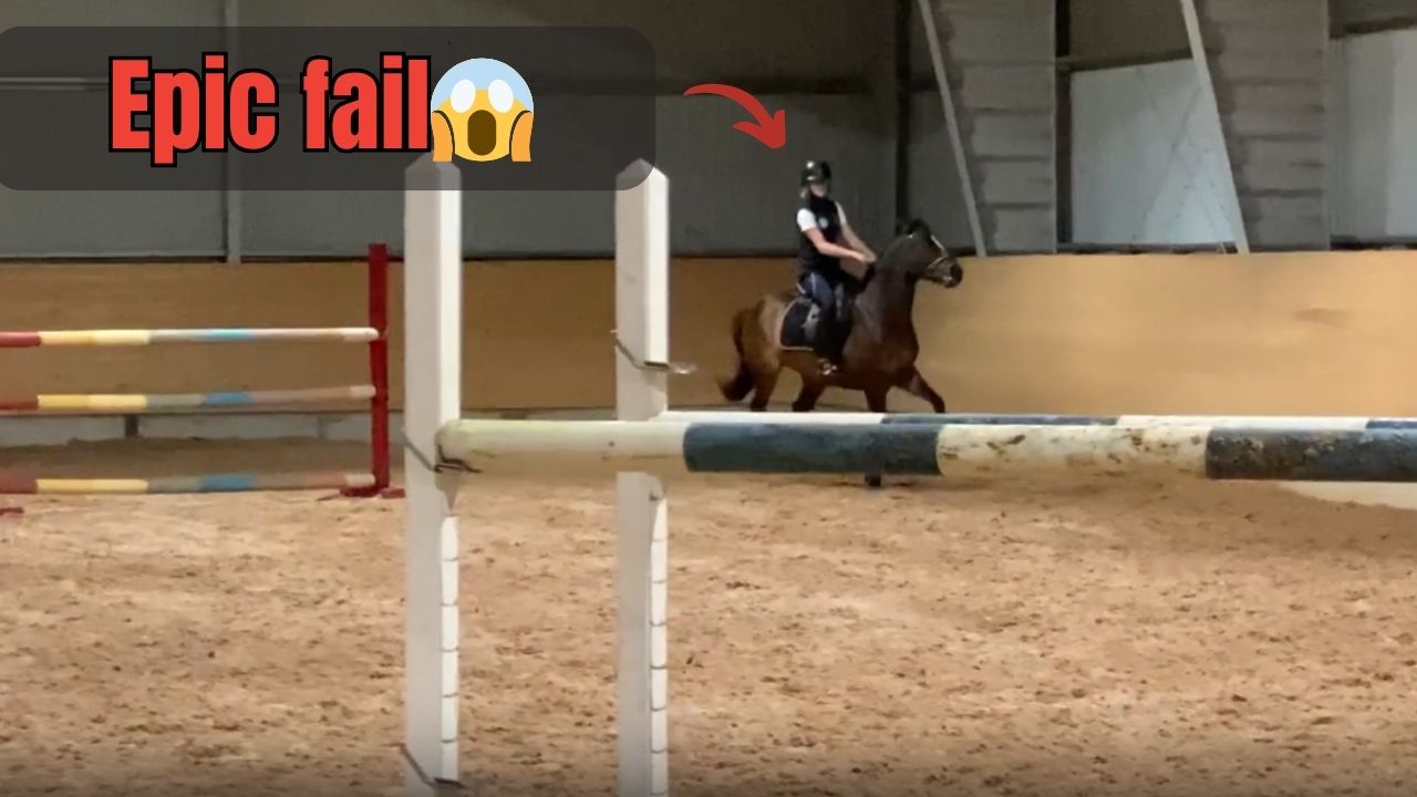 Rider falls hard but pony slays the double combination jump