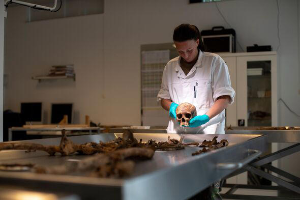 Bodies of British WW2 heroes still being found buried in Dutch fields ...