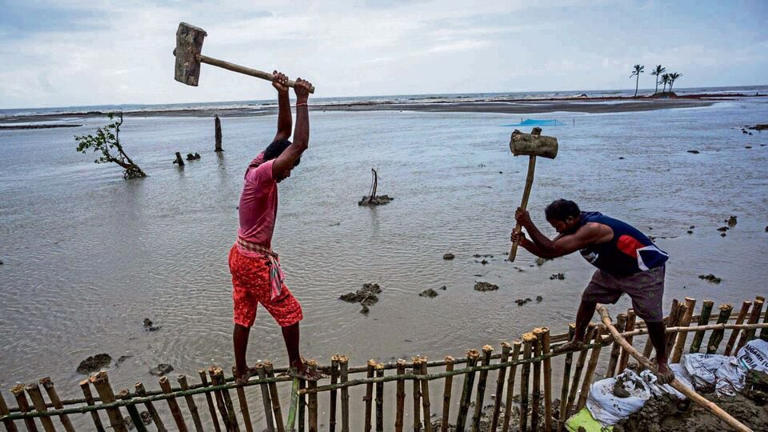 Book review: In Amitav Ghosh's 'Ghost-Eye', the climate crisis meets ...