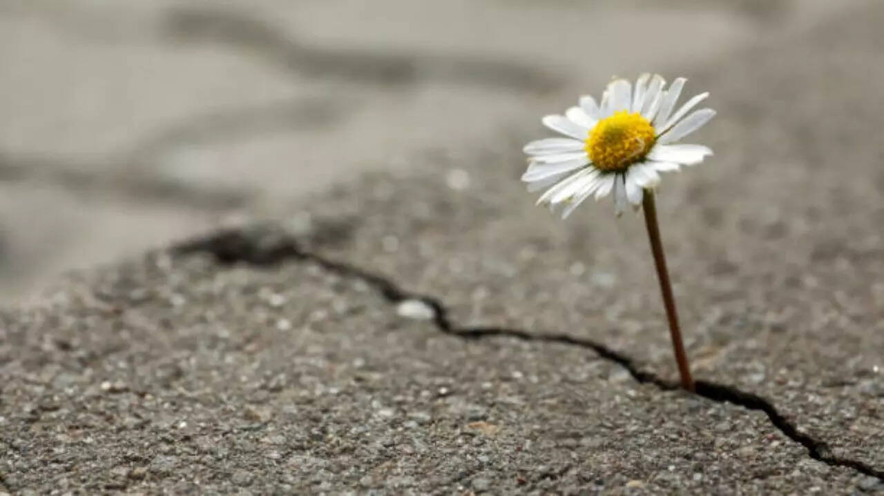 4 most resilient birth dates