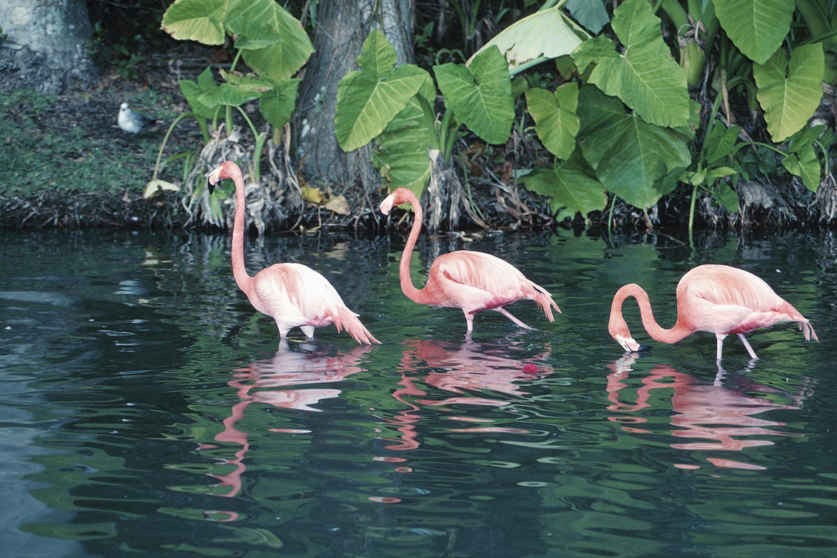 Skip the crowds out West — these 9 eastern national parks are the real ...