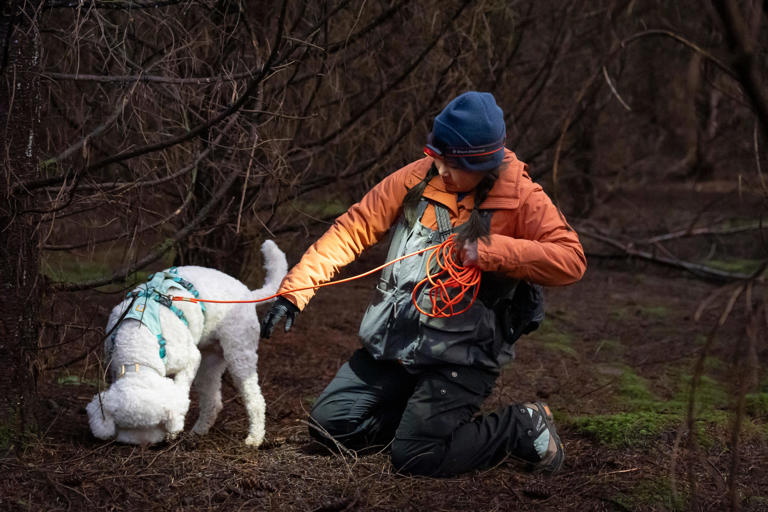 Destination weddings on the McKenzie and accessible trail to Blue Pool