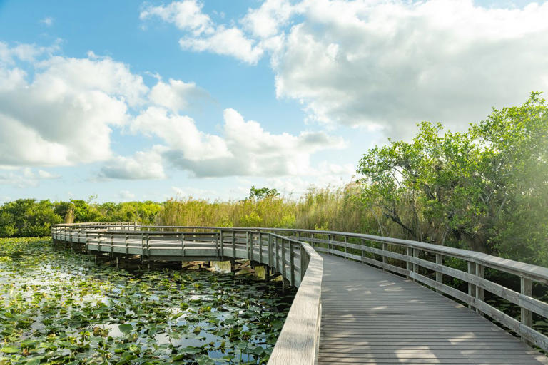This Florida national park covers 1.5 million scenic acres that are ...