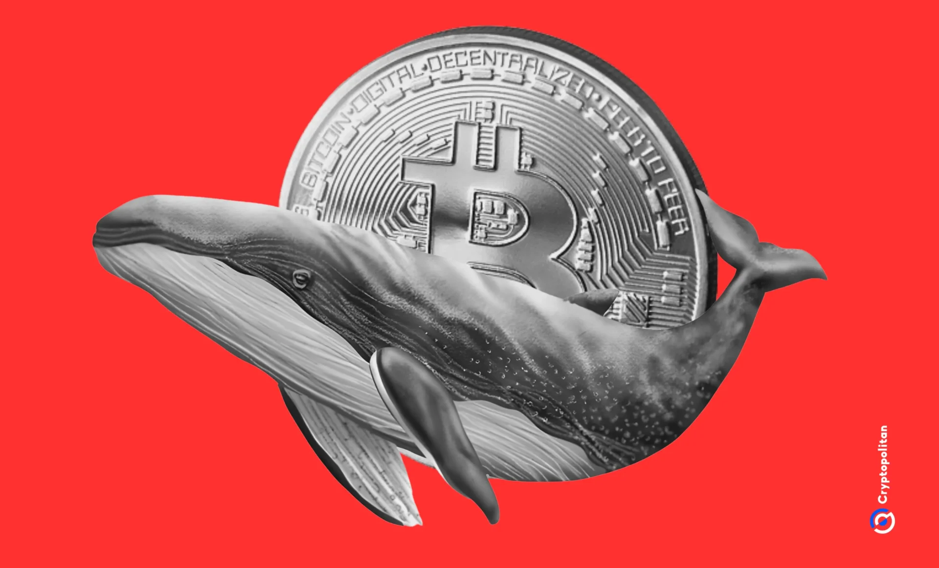 Exchange data shows BTC whales moving out of leveraged long positions