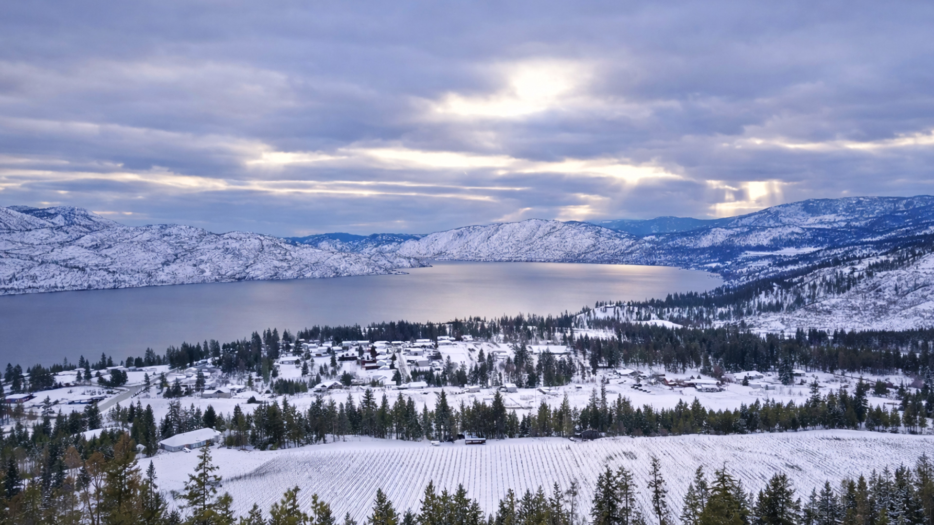 Snow covered vineyards around Okanagan Lake