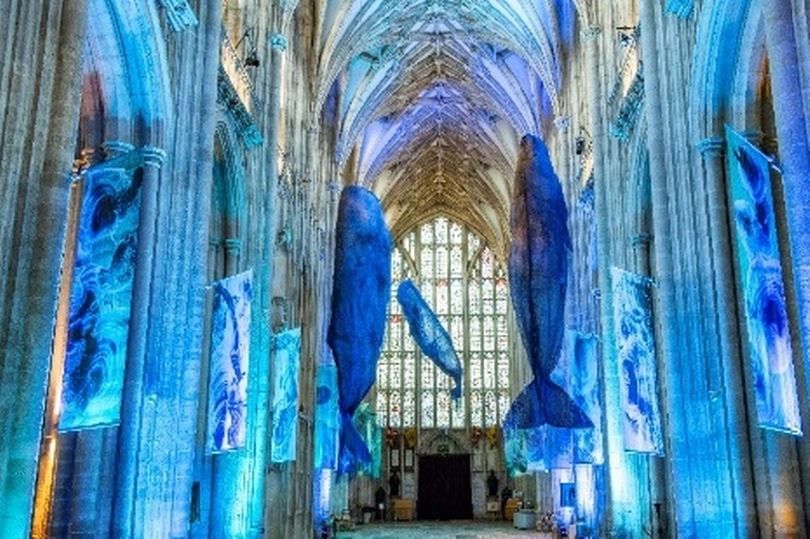Awe-inspiring whale exhibition coming to Rochester Cathedral this February