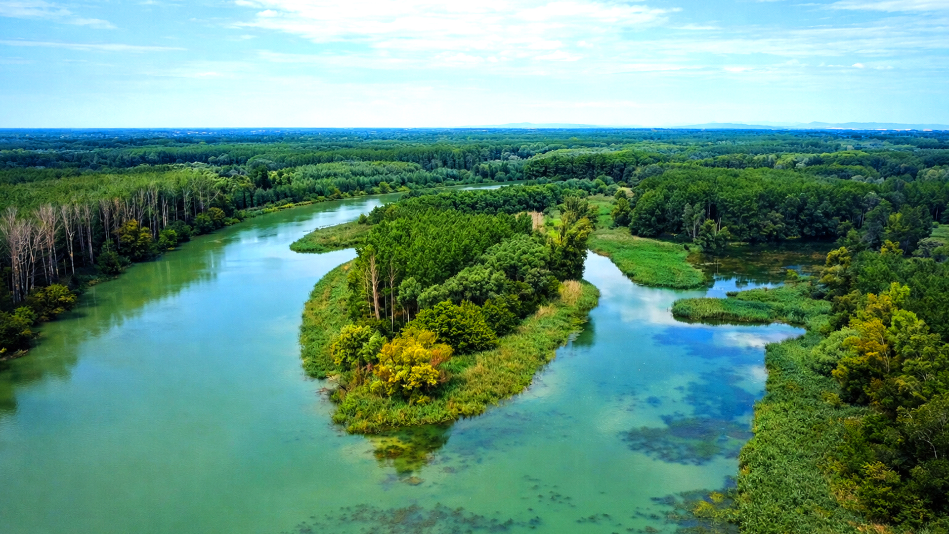 The Danube River curving through lush wetlands in Hungary