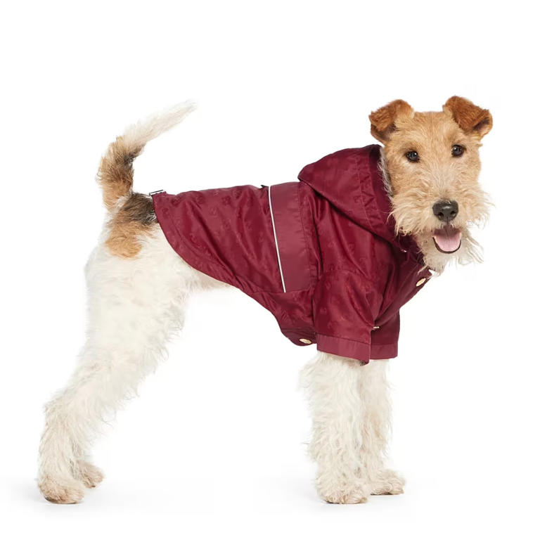 Luxury pet accessories for pampered dogs and cats