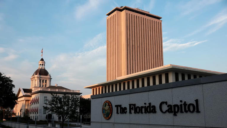 Should leaders focus on Florida property taxes or property insurance ...