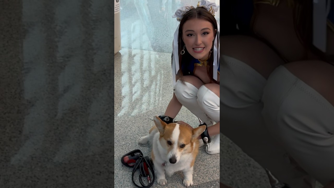 Meet my dog Scooter at Comic-Con