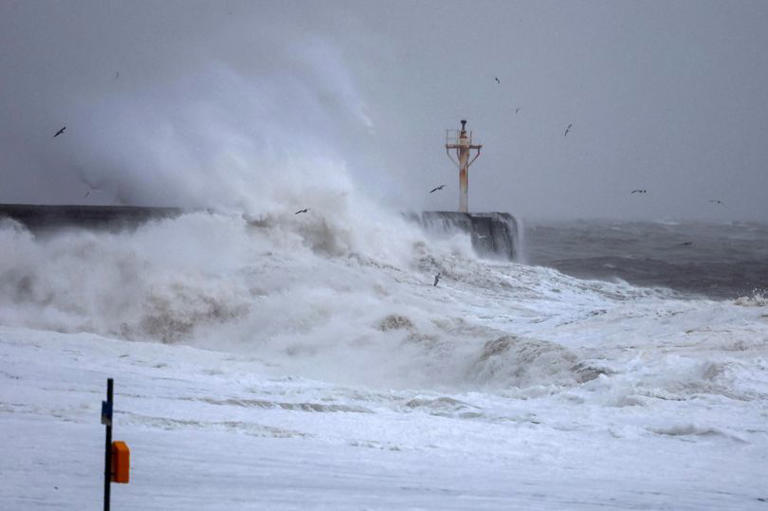 Met Eireann wind warnings to kick in for 11 counties as strong gusts ...