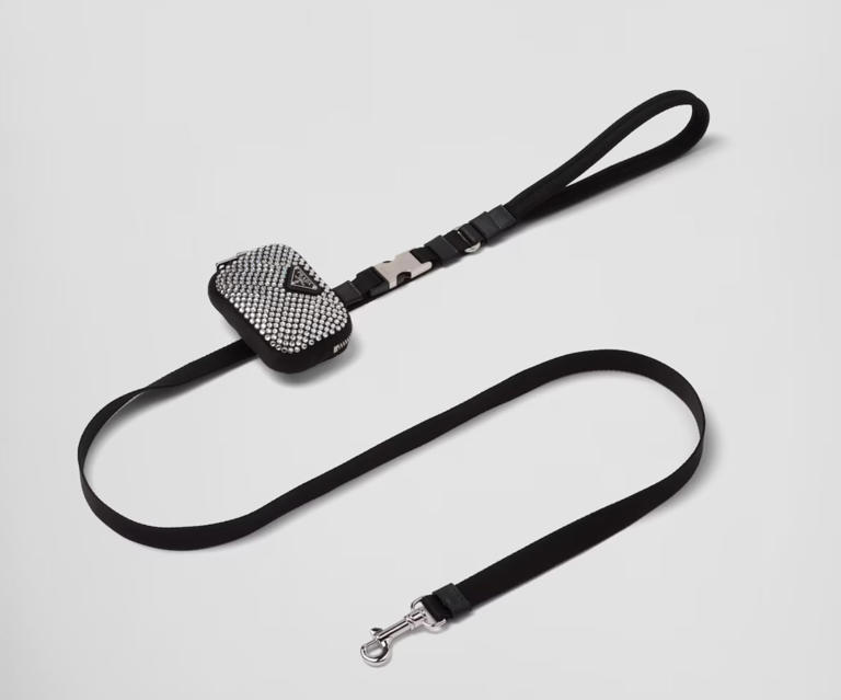 Luxury pet accessories for pampered dogs and cats