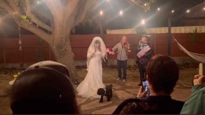 Rilo Kiley singer Jenny Lewis 'marries her dog' on 50th birthday