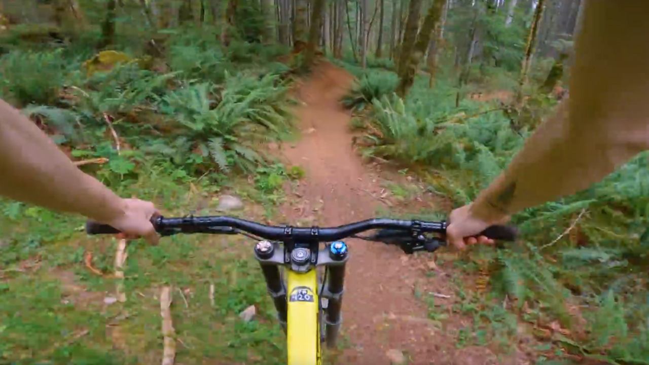 Someone backflipped the stump gap… in Sharknado