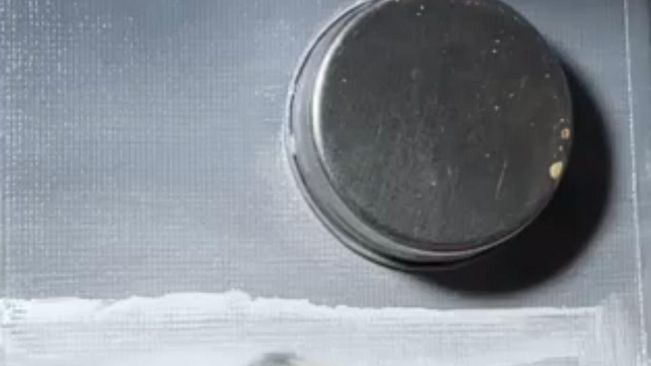 Mini oil painting features a bird resting before a glowing pink moon