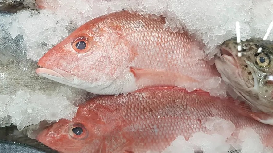 The "fresh" seafood lie: Why 80% of fish you buy was frozen for months