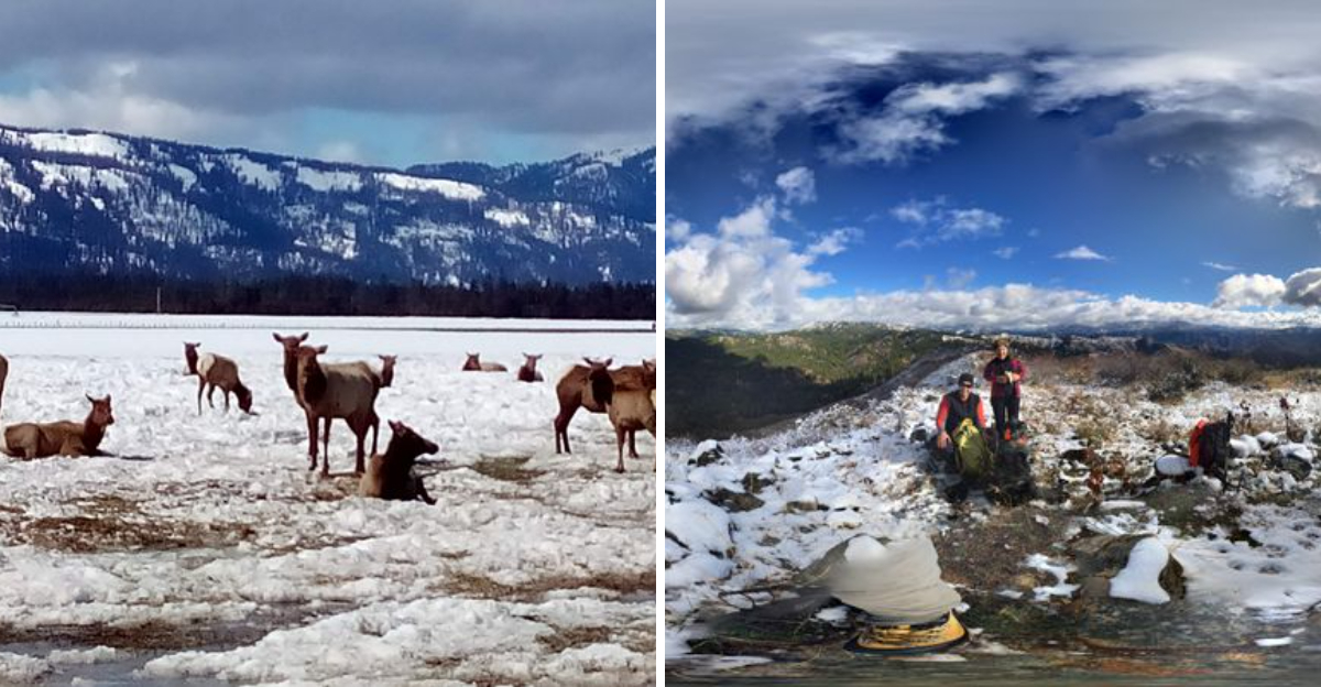 9 Idaho desert spring towns locals prefer to keep quiet