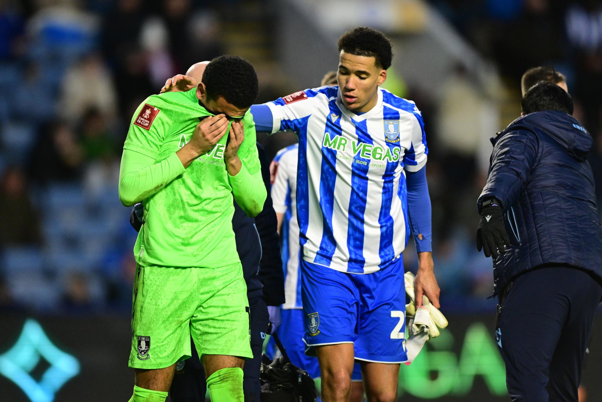 Potential injury hammer blow for Northern Ireland as Sheffield ...