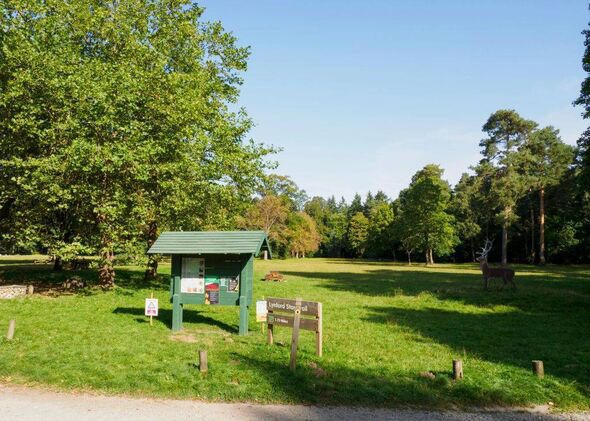 Man 'forced woman to have sex with up to 1,000 men' in horrific abuse ...