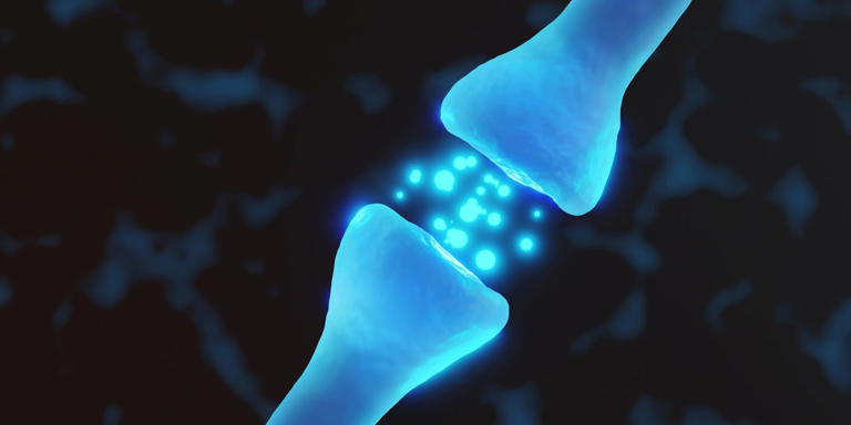 Neuroscientists link a common inflammatory molecule to the dopaminergic ...