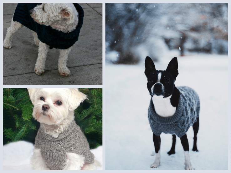 Hundepullover stricken leicht gemacht: 2 einfache Modelle