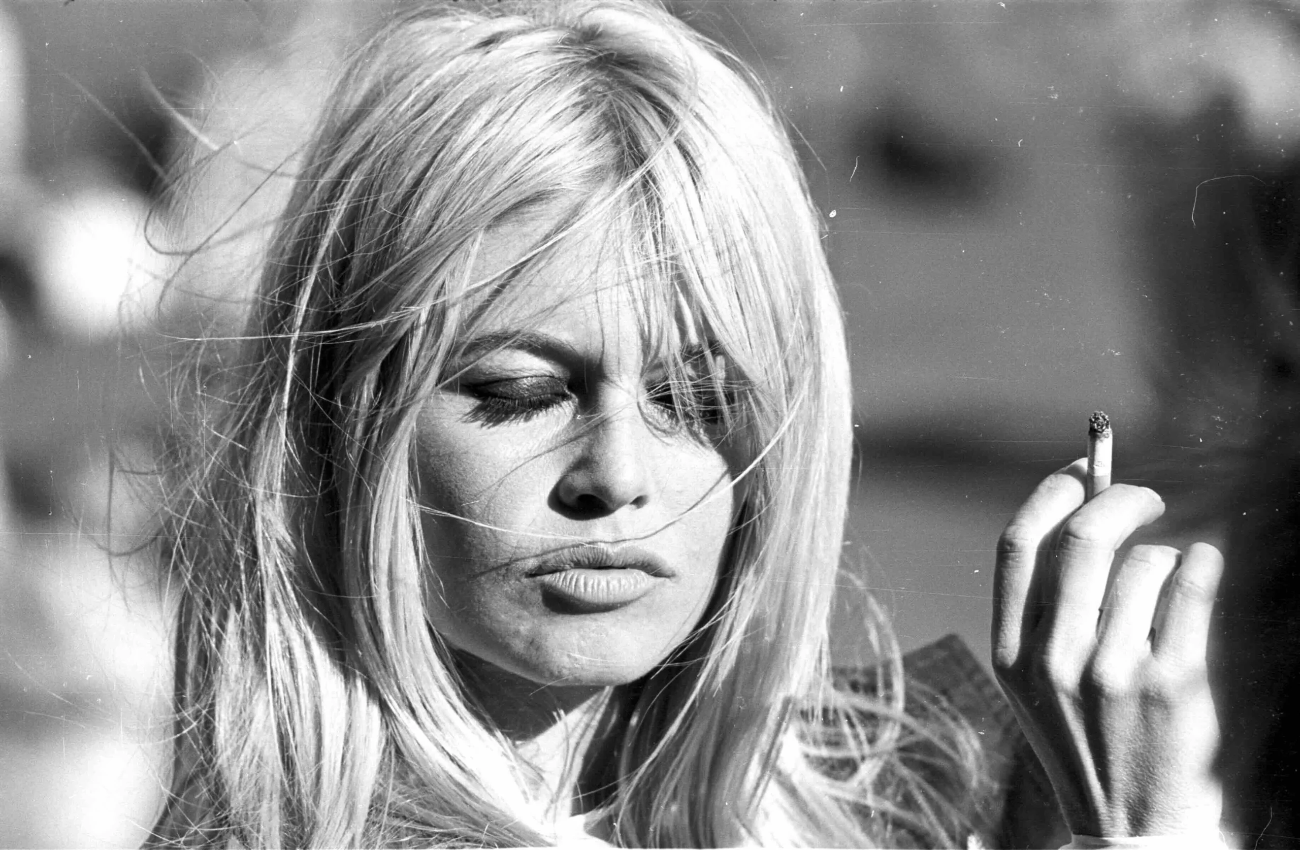 Brigitte Bardot: Astraler Abschied an der Cote D´Azur – mit Le Pen