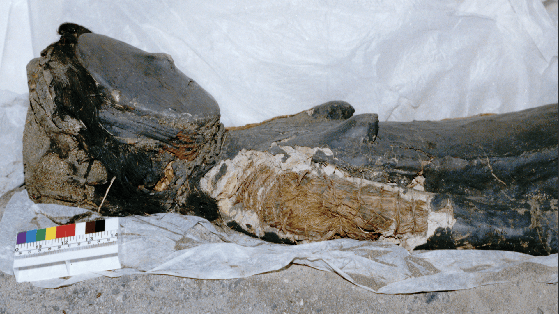 7,000-year-old Chinchorro mummies represent a culture that turned grief ...