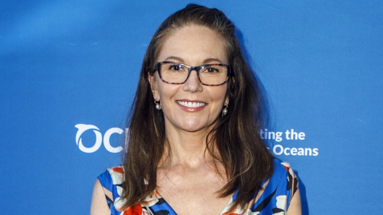 Diane Lane's striking transformation