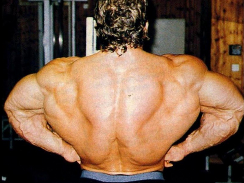 Inside Dorian Yates’ iconic back workouts that turned him into one of ...