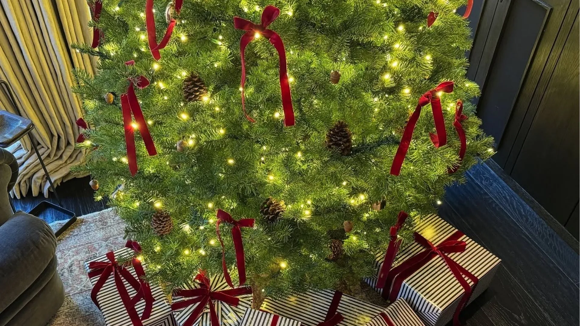 Ieuw! Déze beestjes leven in jouw kerstboom