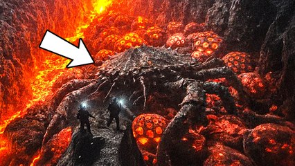 Volcano with unknown giant creatures found in the Pacific Ocean