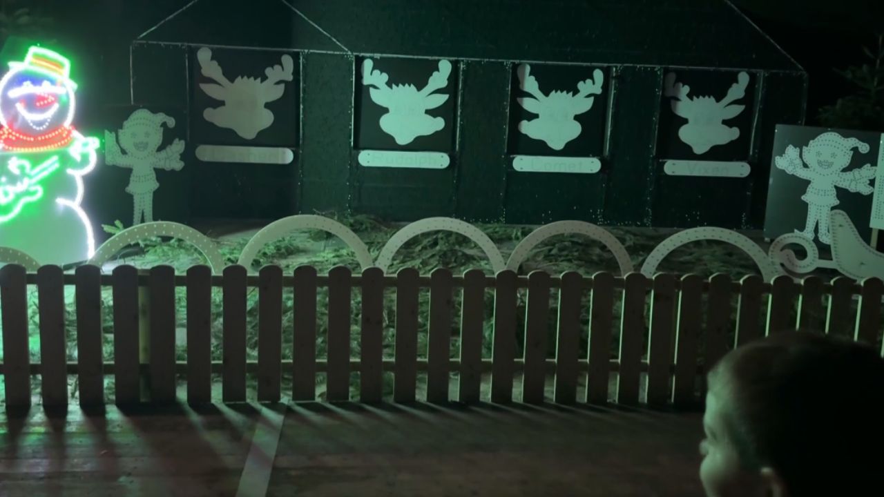 Streamvale Farm hosts dazzling Christmas light show for kids