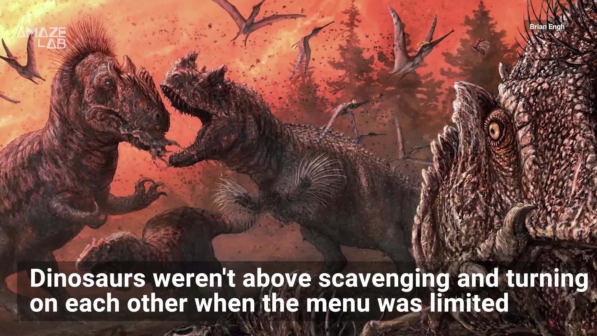 A closer look at these bite marks may reveal surprising new clues about ...