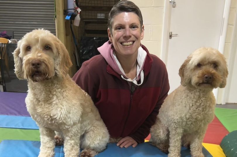 Stylish cockapoos Flo and Lily win top prize in a festive dog competition