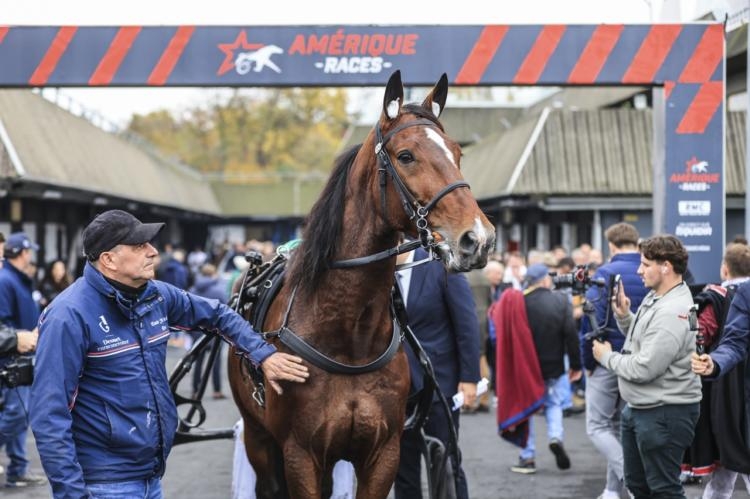 Jean-Michel Bazire et Jushua Tree battent Go on Boy dans le Prix de ...