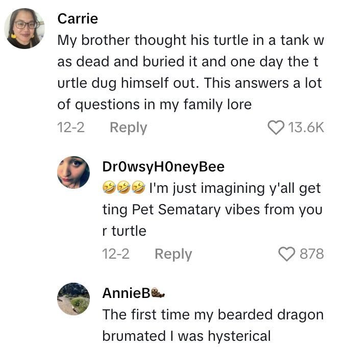 A wildlife expert warned people against burying their turtles for their ...