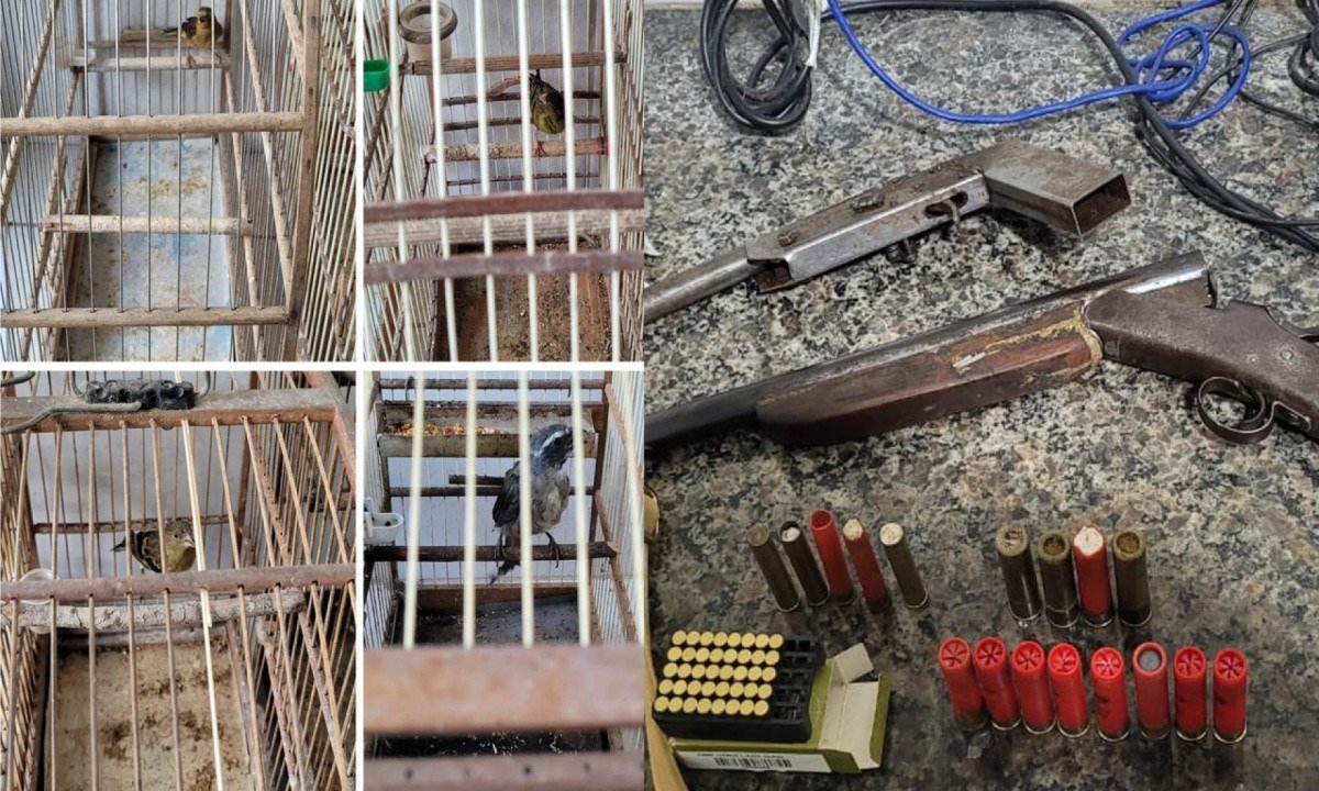 PM apreende pássaros, armas e prende caçador no interior de MG