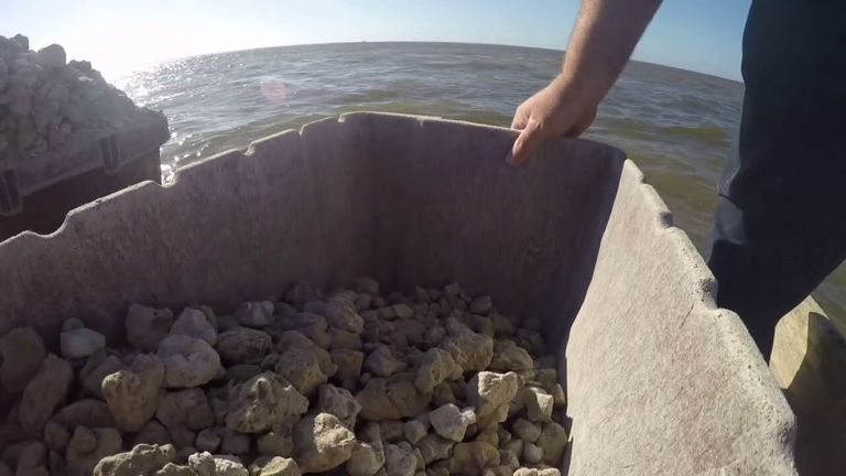 Florida’s oyster industry plans comeback after years of decline