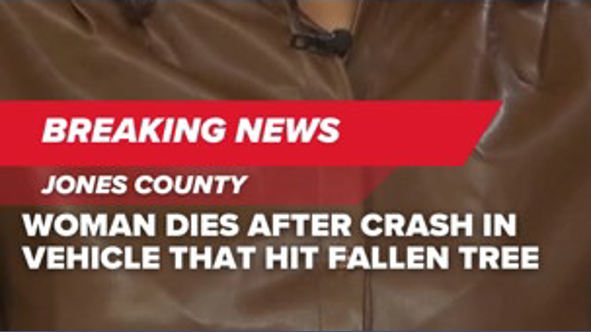 Woman dies after crashing into fallen tree